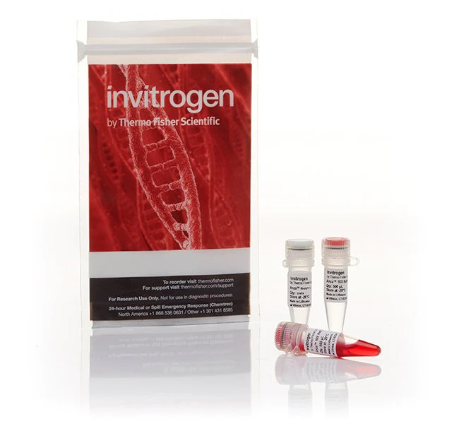 Invitrogen™ - Medical Test Systems, Inc. (MEDTEST)