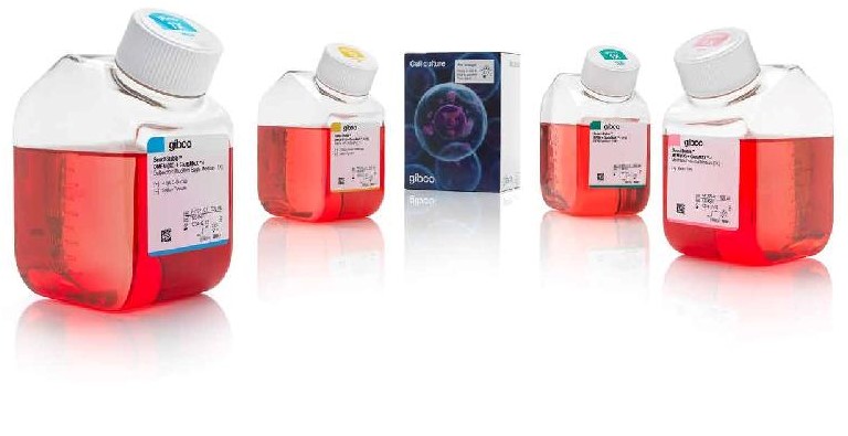 Gibco™ – Medical Test Systems, Inc. (MEDTEST)