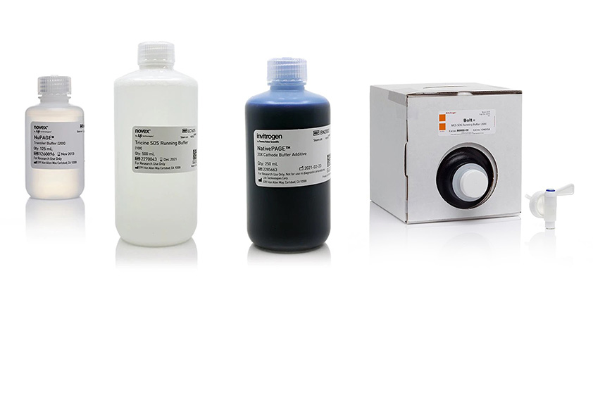 Invitrogen™ – Medical Test Systems, Inc. (MEDTEST)