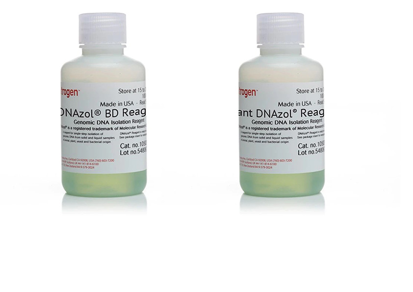 Invitrogen™ – Medical Test Systems, Inc. (MEDTEST)