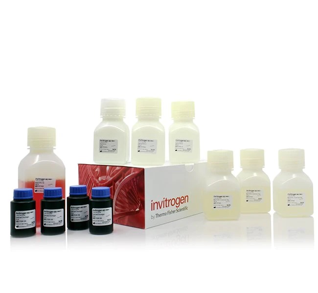 Invitrogen™ – Medical Test Systems, Inc. (MEDTEST)