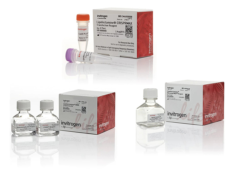 Invitrogen™ - Medical Test Systems, Inc. (MEDTEST)