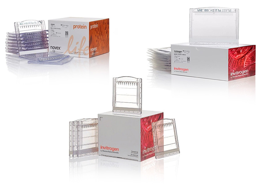 Invitrogen™ – Medical Test Systems, Inc. (MEDTEST)