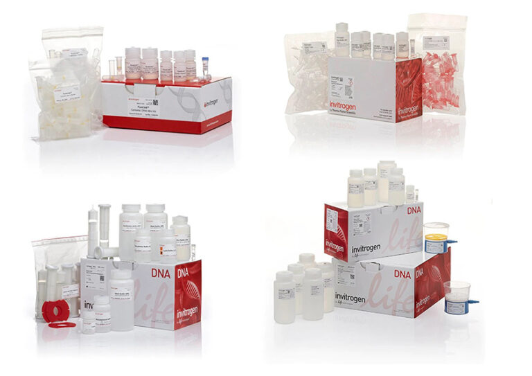 Invitrogen™ – Medical Test Systems, Inc. (MEDTEST)