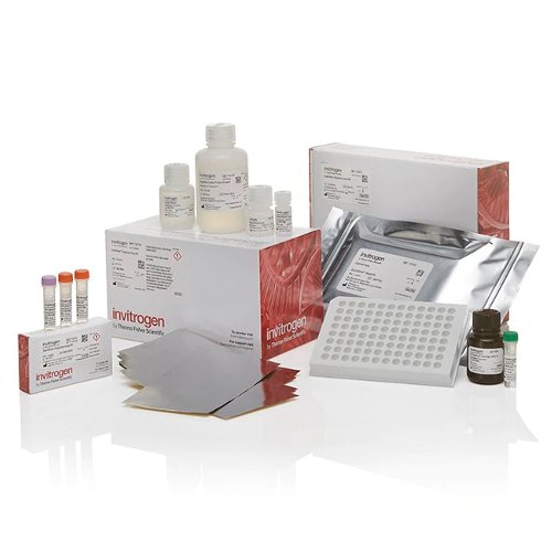 Invitrogen™ – Medical Test Systems, Inc. (MEDTEST)