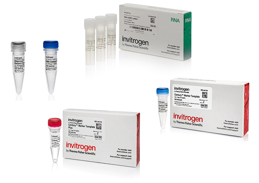 Invitrogen™ - Medical Test Systems, Inc. (MEDTEST)