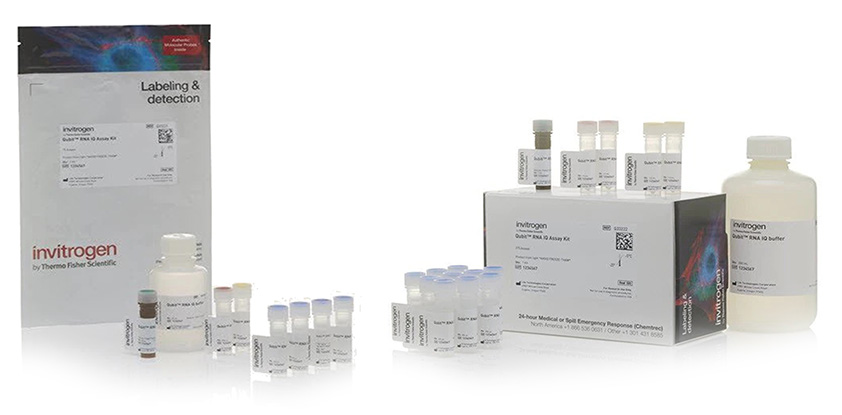 Invitrogen™ – Medical Test Systems, Inc. (MEDTEST)