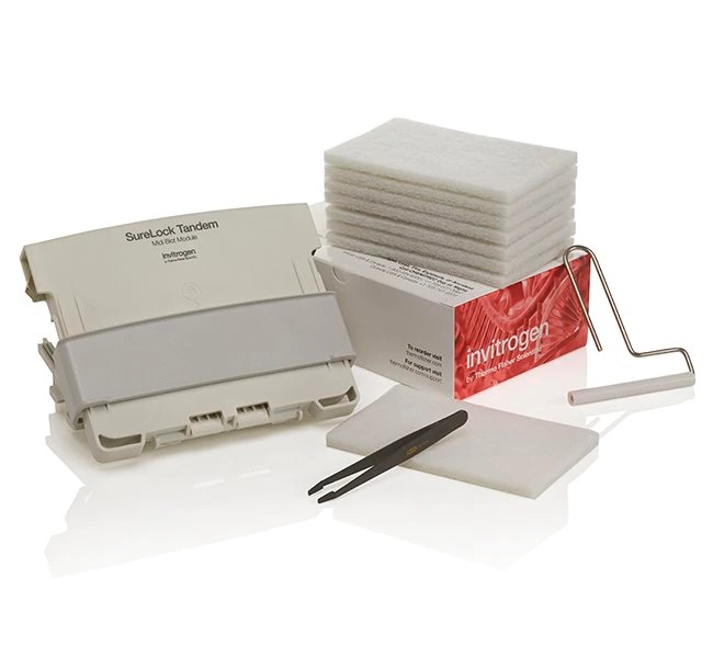 Invitrogen™ - Medical Test Systems, Inc. (MEDTEST)