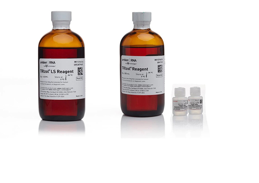 Invitrogen™ – Medical Test Systems, Inc. (MEDTEST)