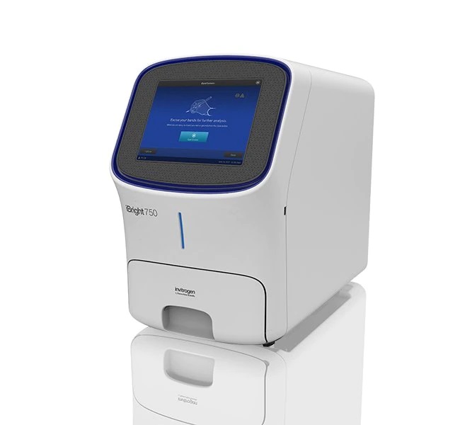 Invitrogen™ - Medical Test Systems, Inc. (MEDTEST)