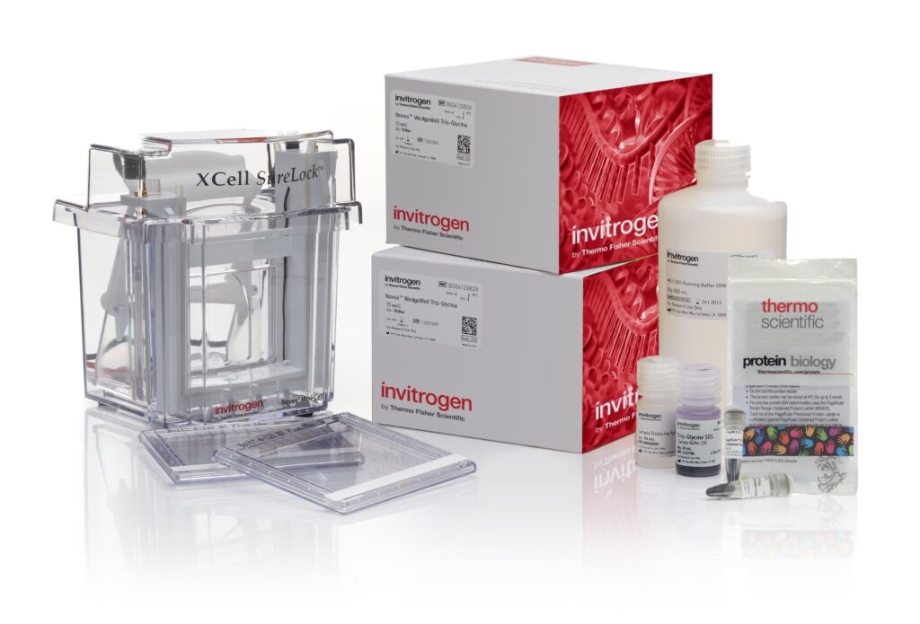 XCell SureLock Mini-Cell Welcome pack - Medical Test Systems, Inc ...